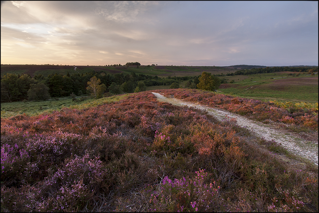 20160209_Rockford Common in the Evening_David Smith_Pri – The Practical ...