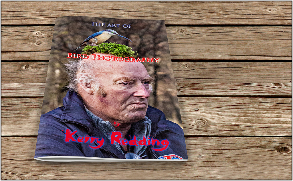 The Bird Expert_Malcolm Leach – The Practical Camera Club (of Southampton)