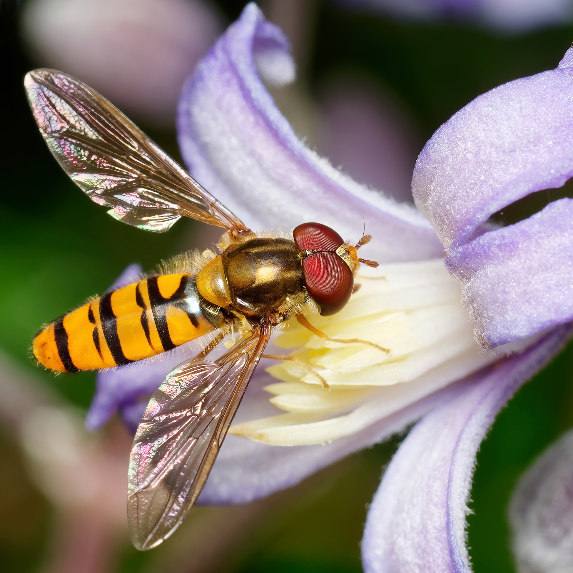 The Practical Camera Club (of Southampton) – Developing our hobby in ...
